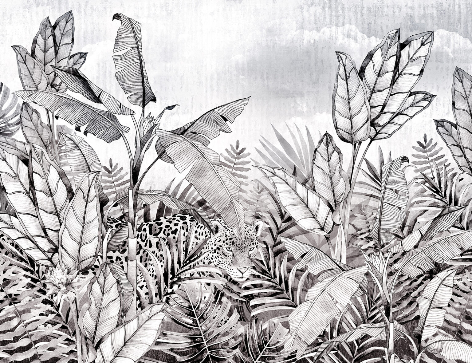 Monochrome Jaguar Wall Mural - Avalana Design